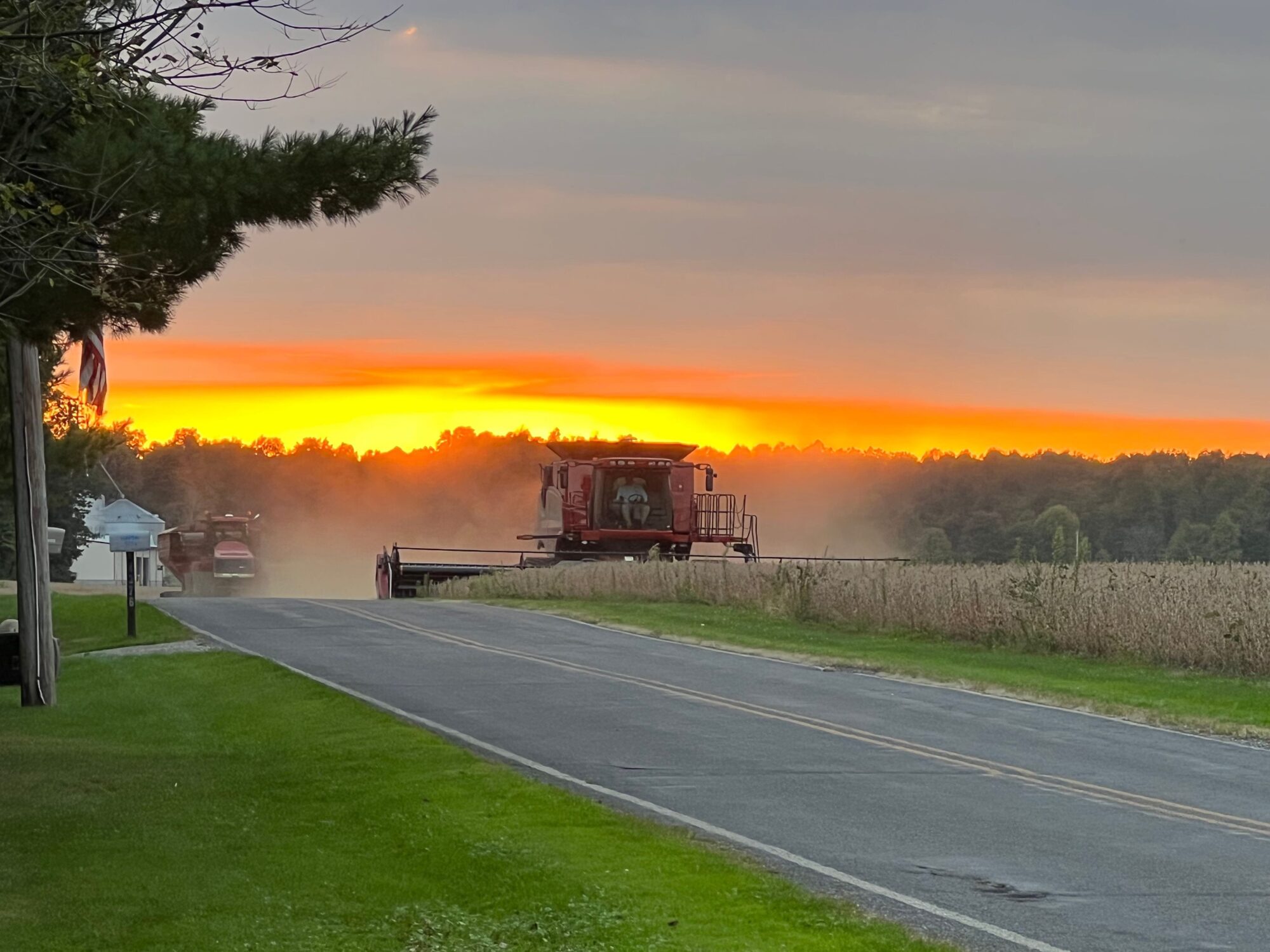 Farming – Sayre Farms